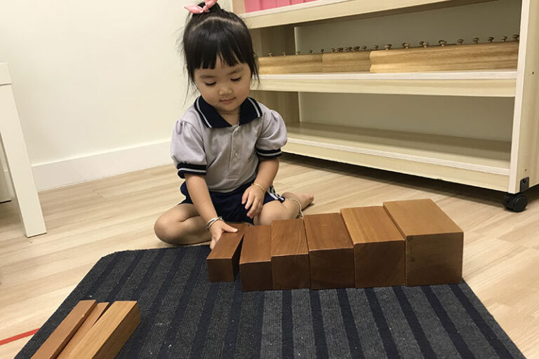 Montessori – Knowledge Tree